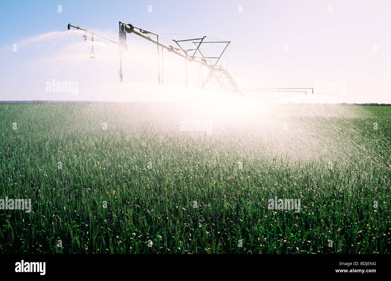 Spraying wheat australia hi-res stock photography and images - Alamy