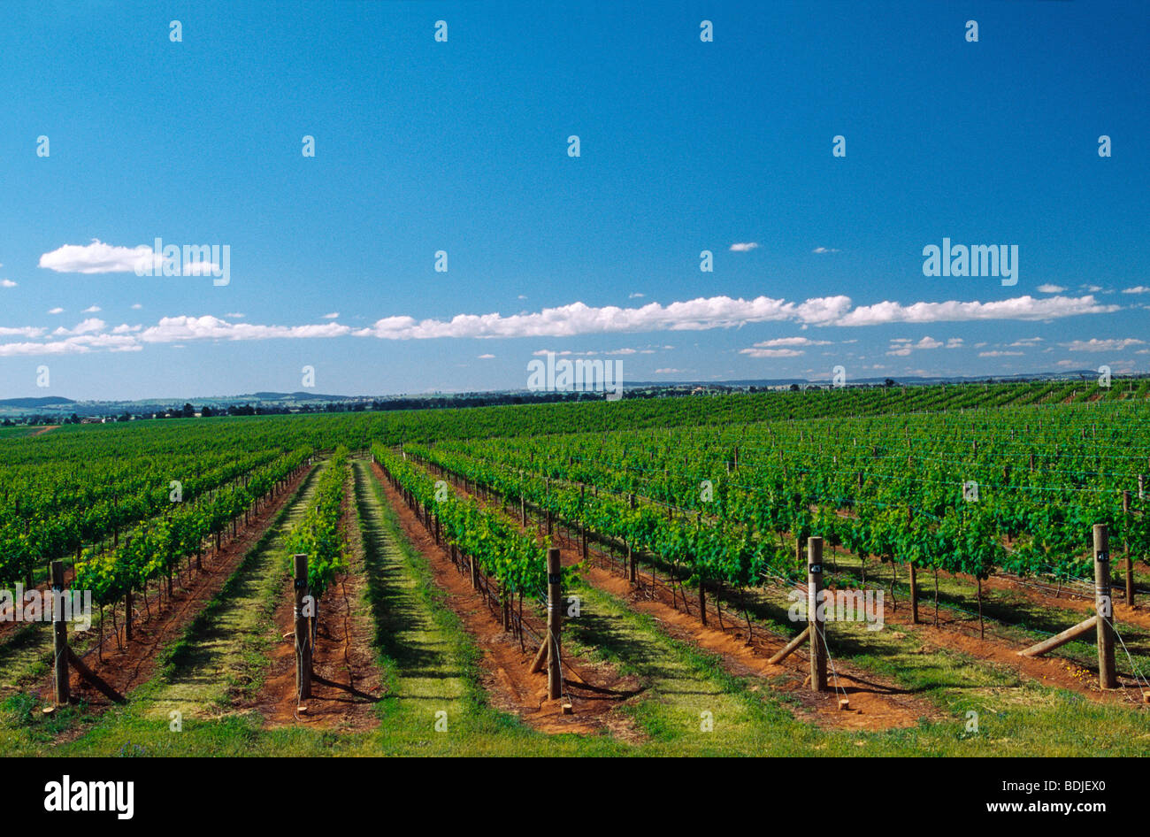 Mudgee australia hi-res stock photography and images - Alamy