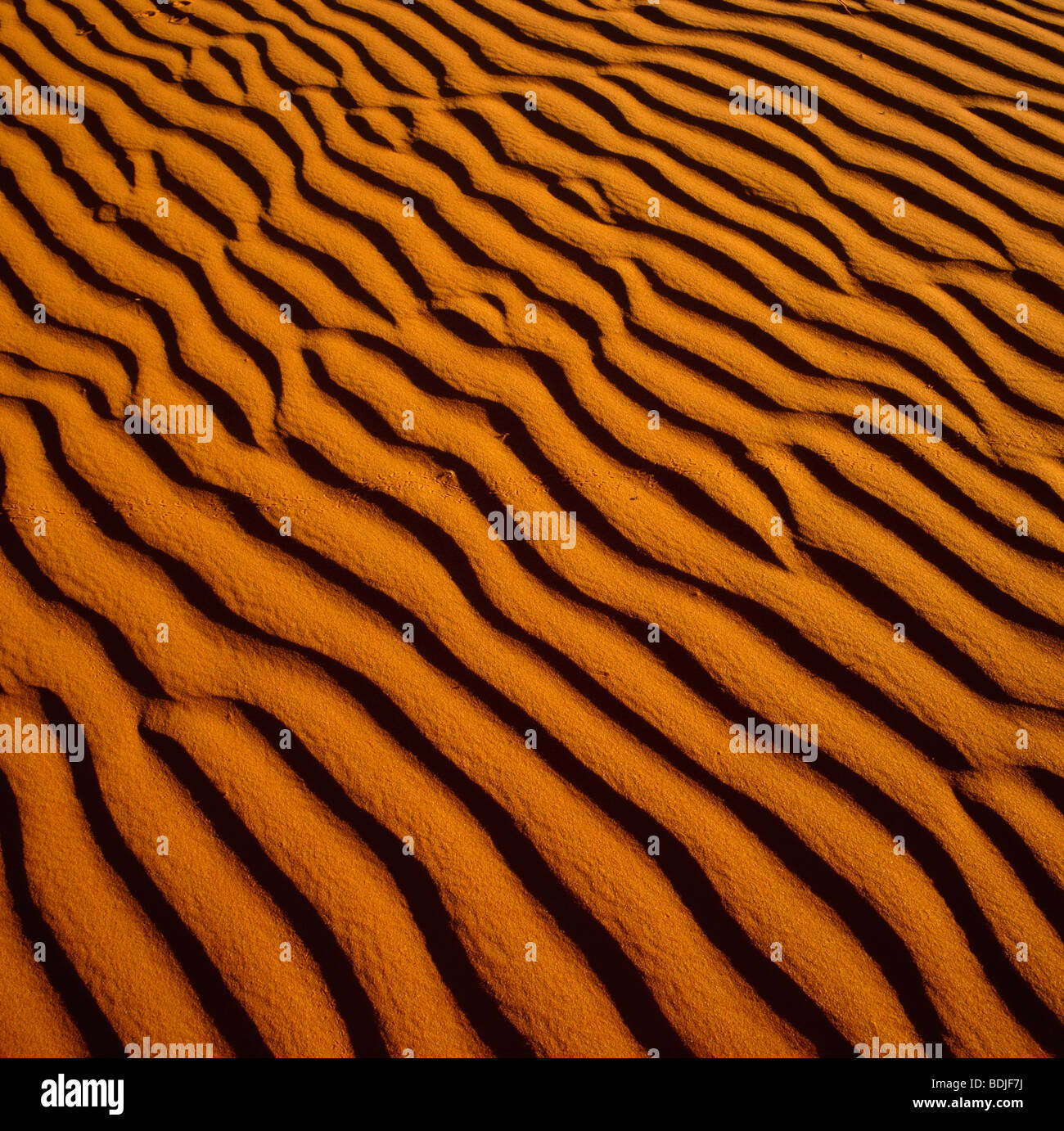 Ripples in Desert Sand, Desert Stock Photo - Alamy