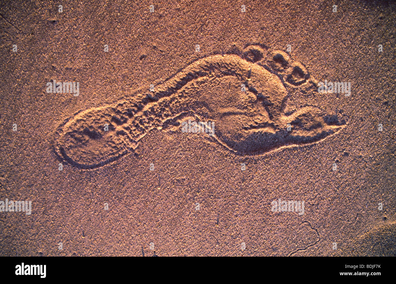 Foot Print in Beach Sand Stock Photo - Alamy