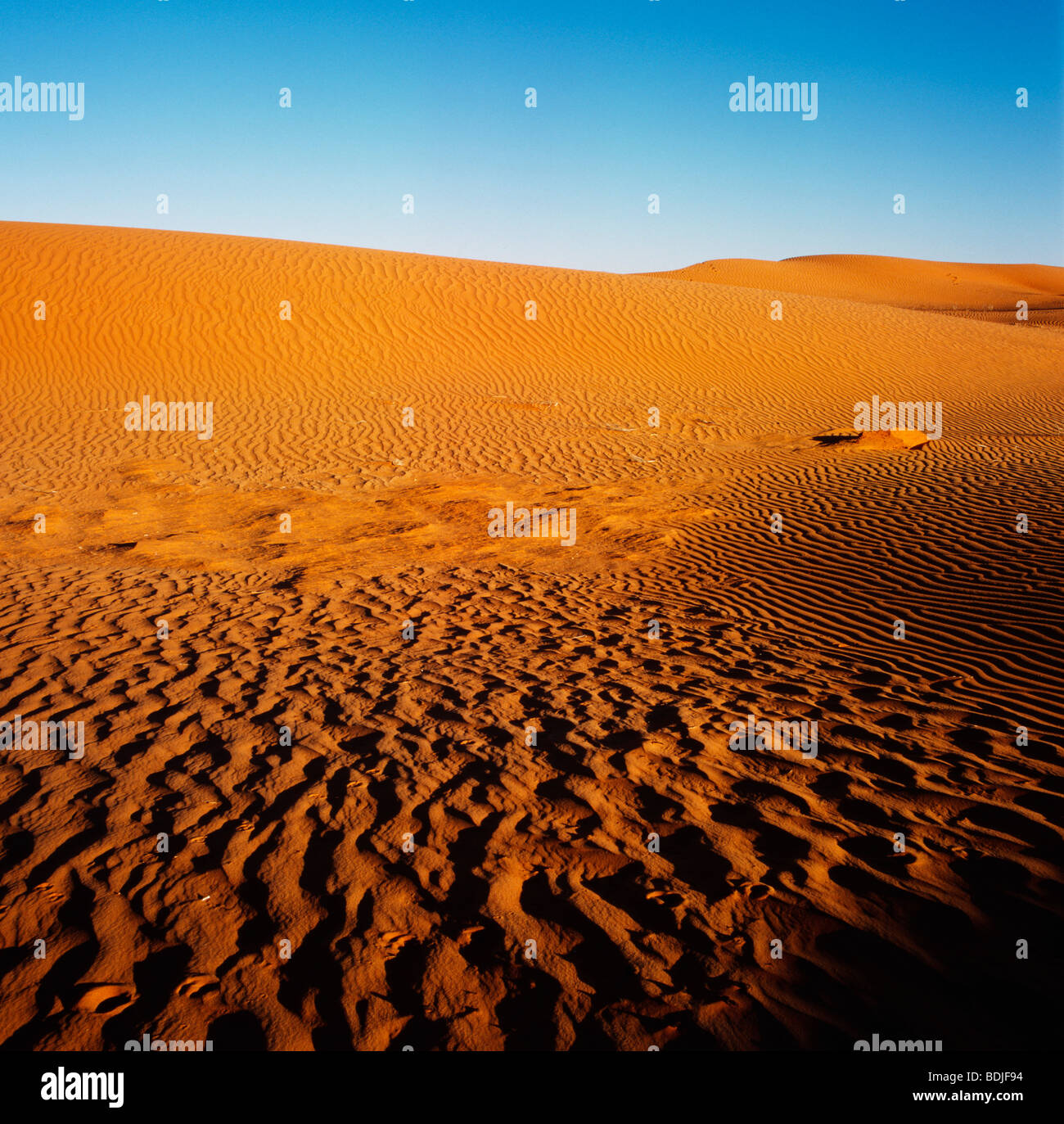 Sand Dunes, Simpson Desert, Australia Stock Photo - Alamy