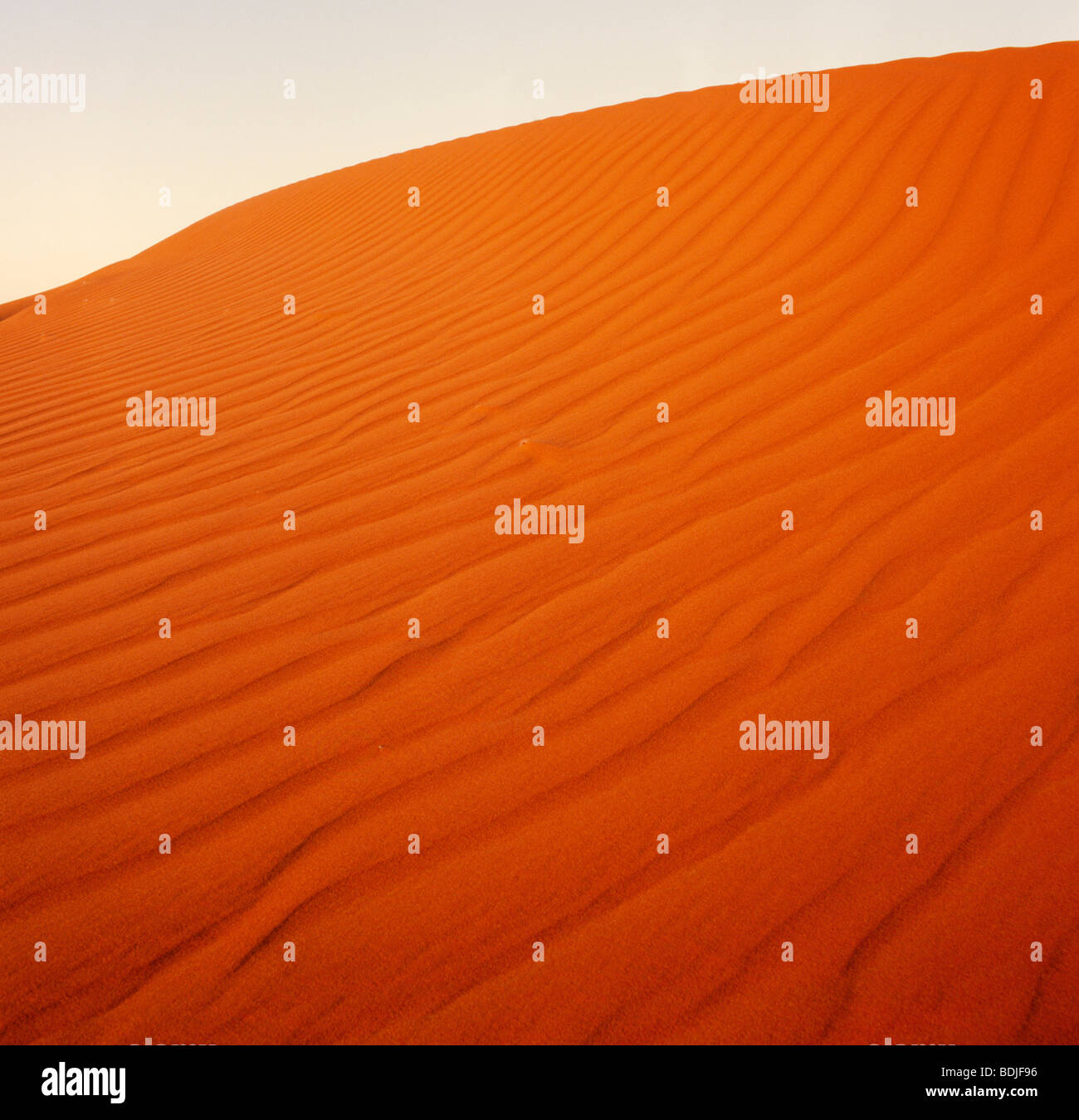 Simpson desert australia hi-res stock photography and images - Alamy