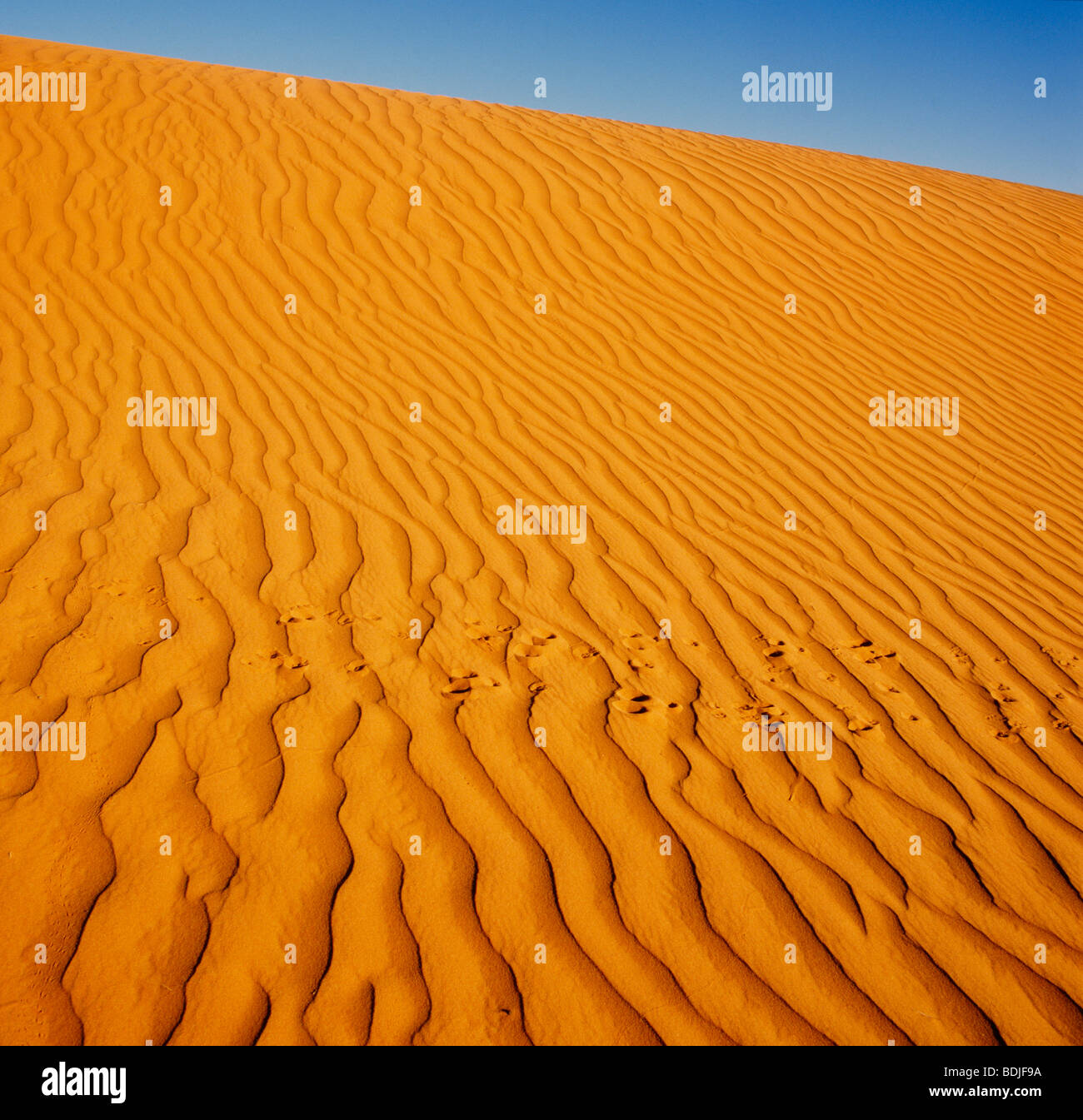 Sand Dunes, Simpson Desert, Australia Stock Photo - Alamy