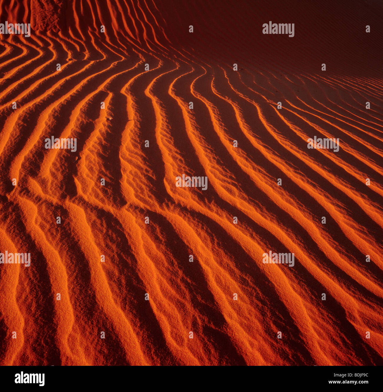 Sand Dunes, Simpson Desert, Australia Stock Photo - Alamy