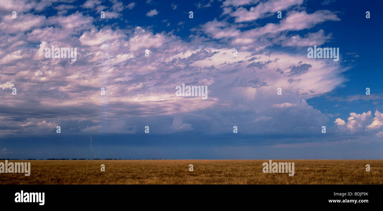 Outback australia overcast sky hi-res stock photography and images - Alamy