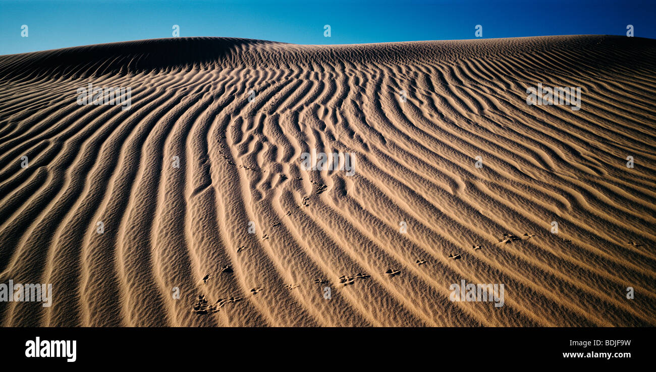 Sand Dunes, Lake Mungo, Australia Stock Photo - Alamy