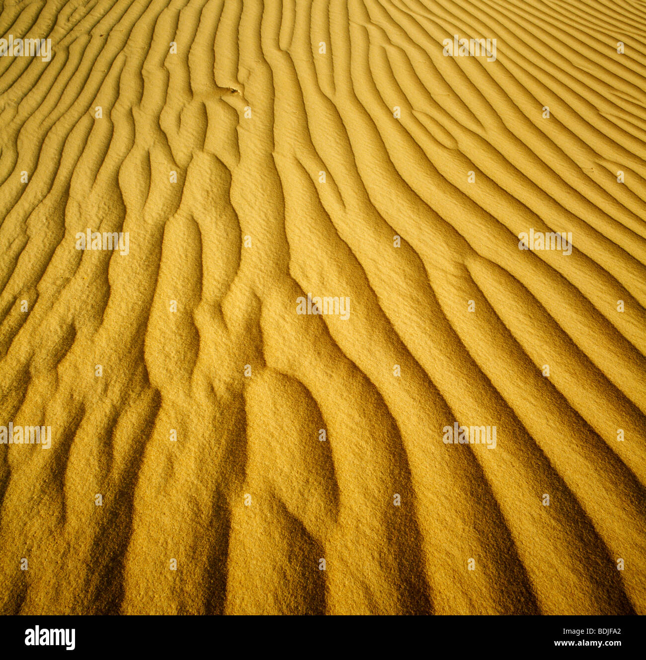 Sand Pattern, Sand Dune, Nambung National Park, Australia Stock Photo ...