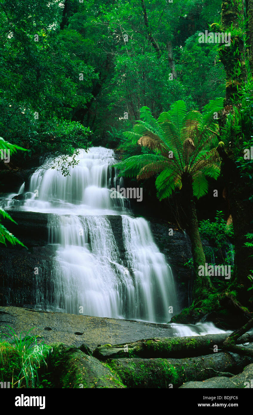 Cool temperate water hi-res stock photography and images - Alamy