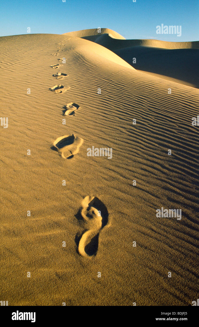 Footsteps on Sand Dune, Desert Stock Photo - Alamy