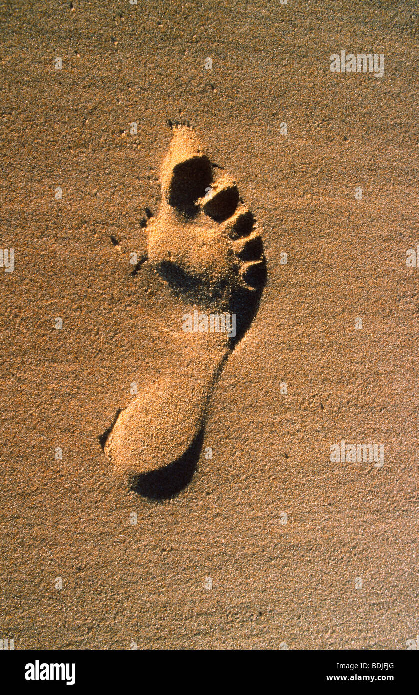 Footprint in Sand Stock Photo - Alamy