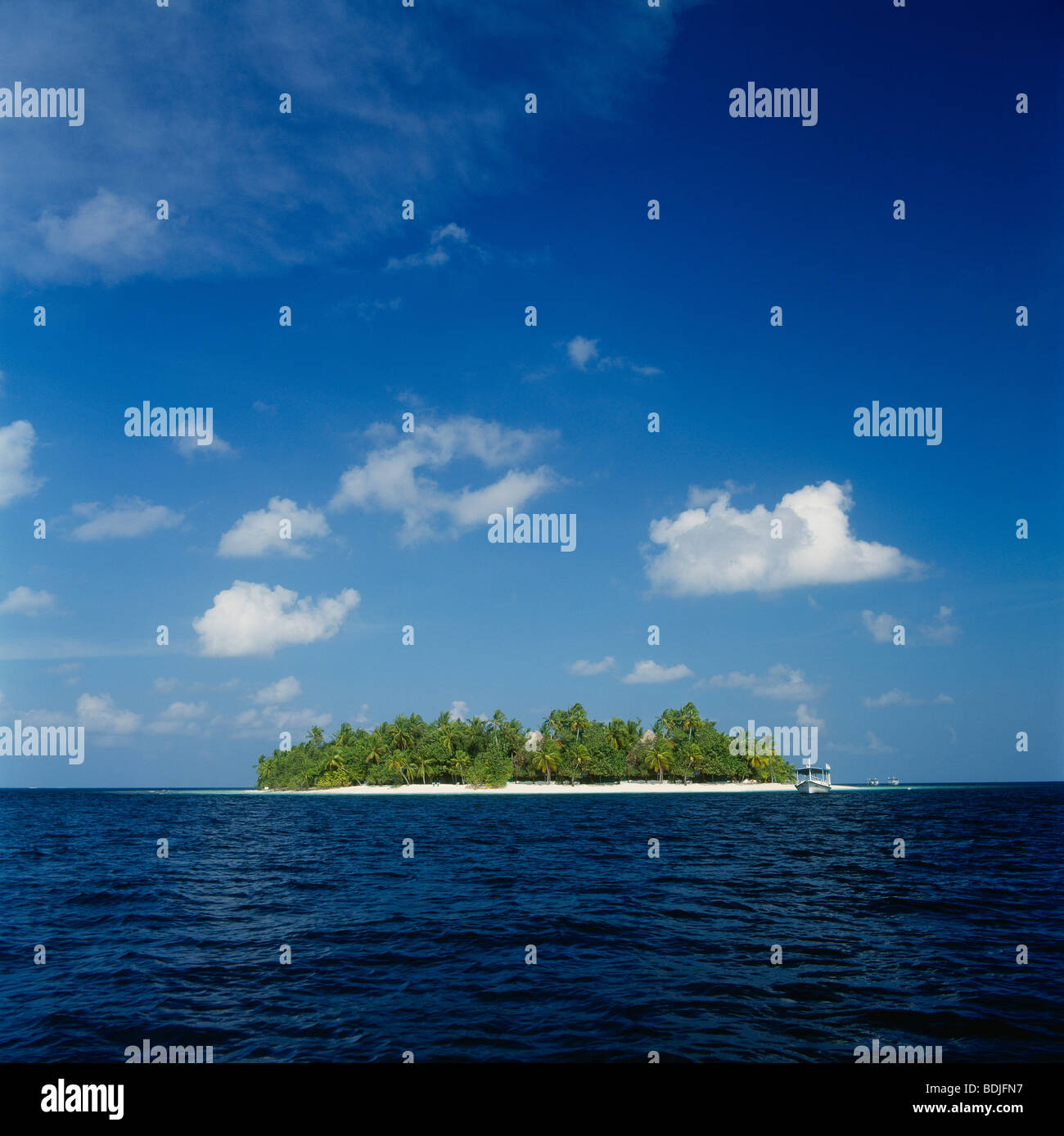 One tree island reef hi-res stock photography and images - Alamy