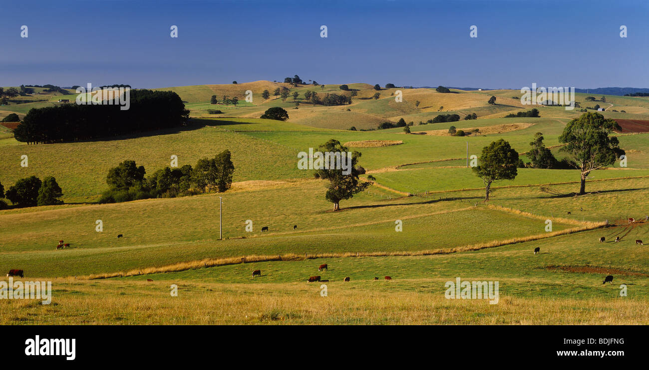 Gippsland australia green hi-res stock photography and images - Alamy
