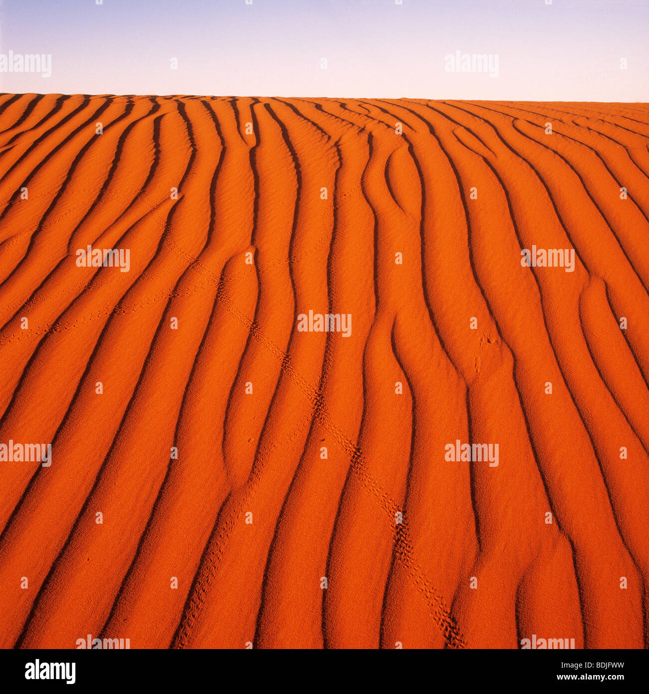 Desert, Red Sand Dune Stock Photo - Alamy