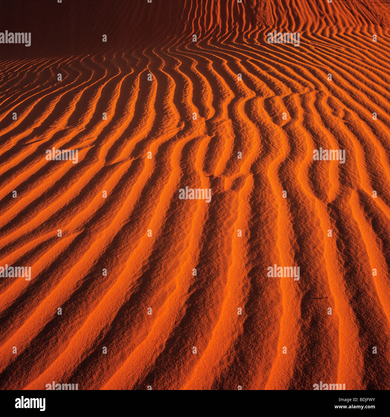Red desert hi-res stock photography and images - Alamy