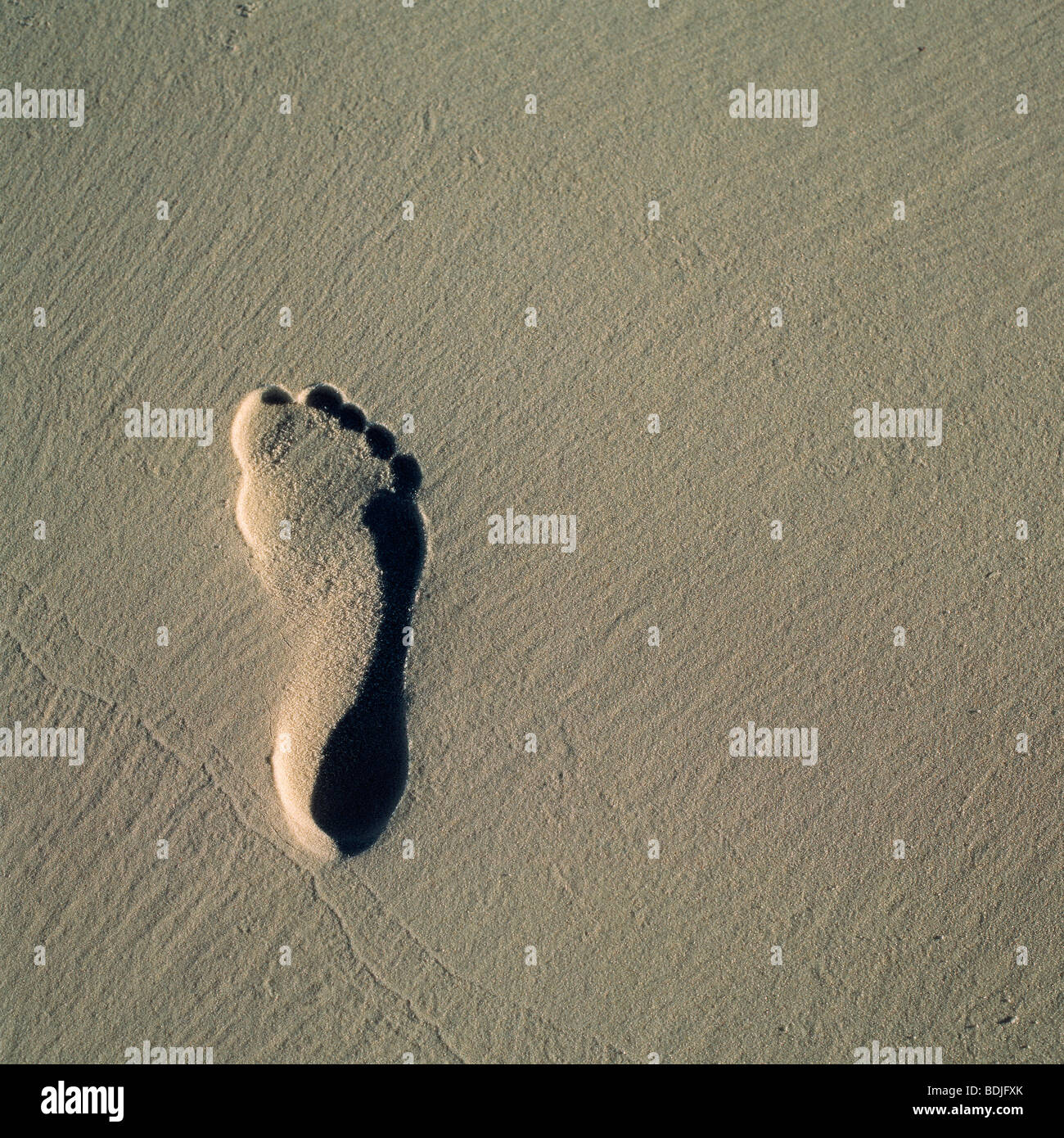 Foot Print in Beach Sand Stock Photo - Alamy