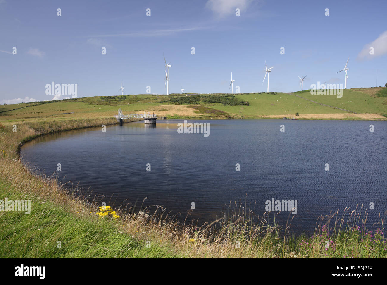 Farm uk windfarms scotland hi-res stock photography and images - Alamy