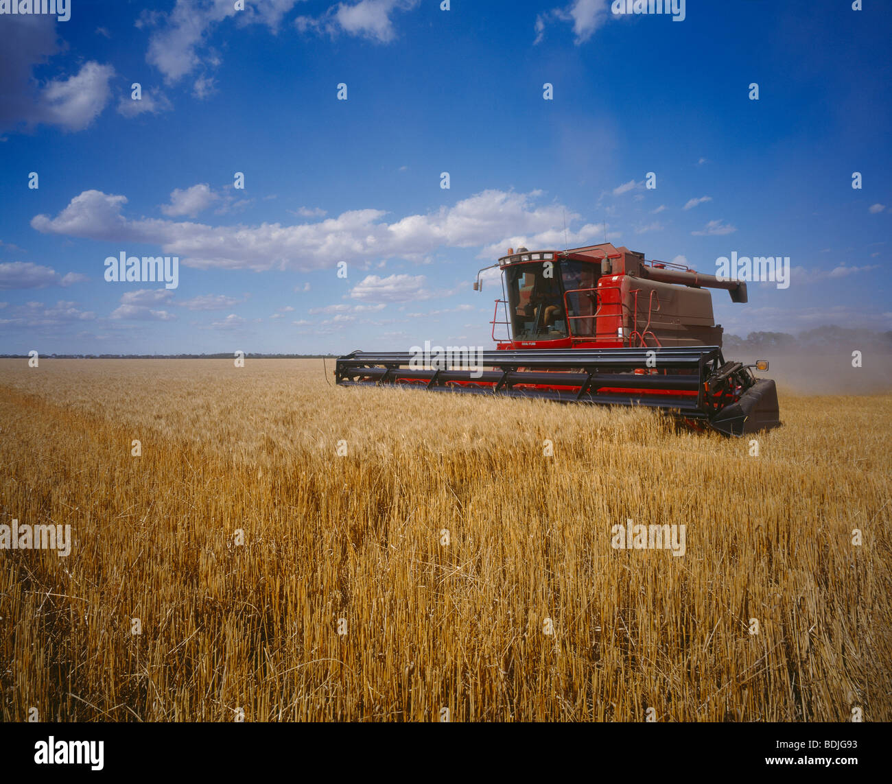 Australia wheat harvest combine hi-res stock photography and images - Alamy