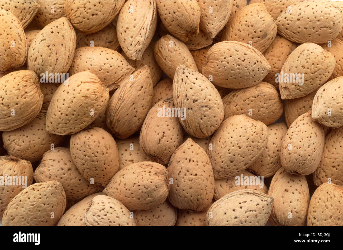 Images of almonds hi-res stock photography and images - Alamy