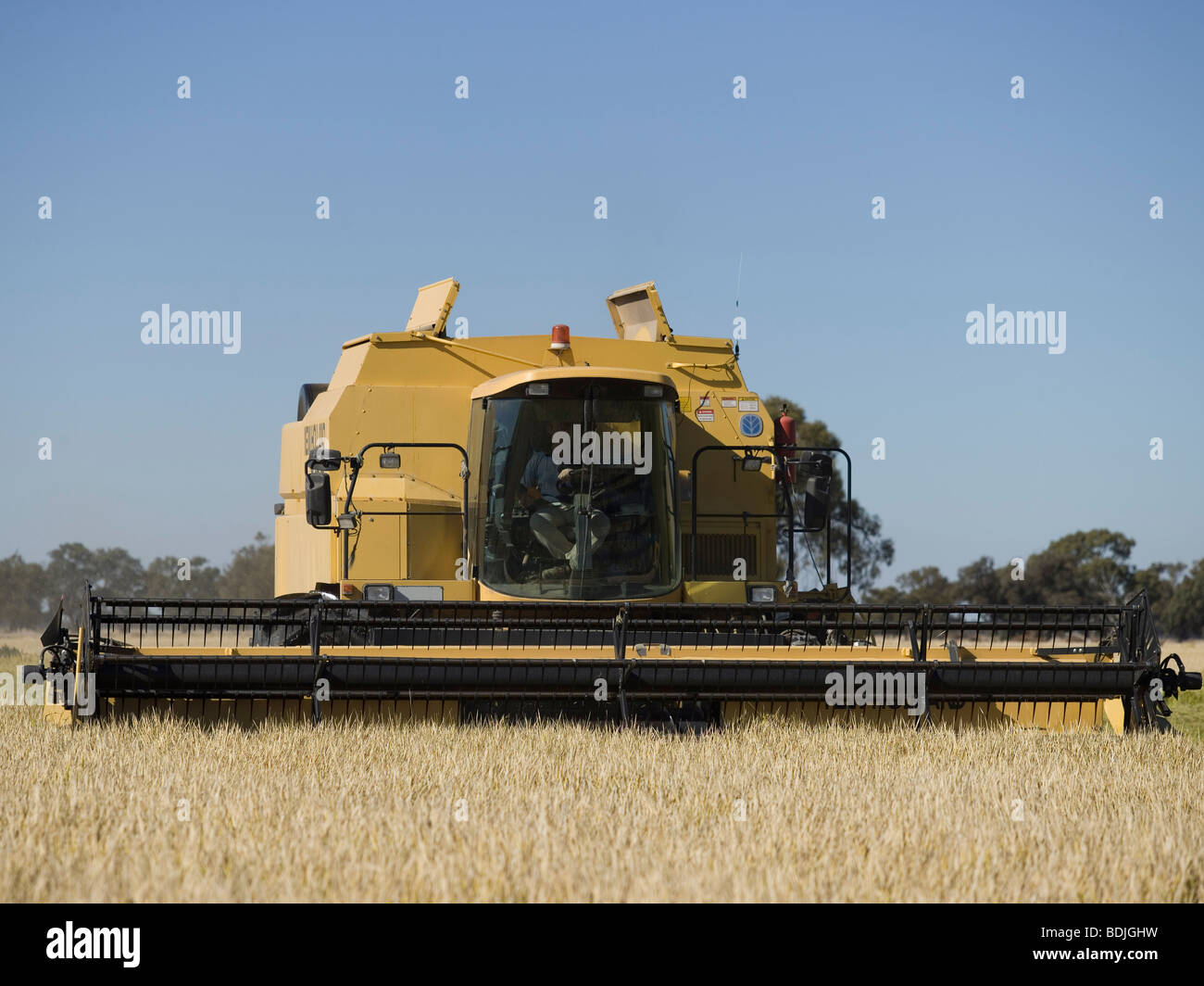 Rice Harvesting, Australia Stock Photo - Alamy