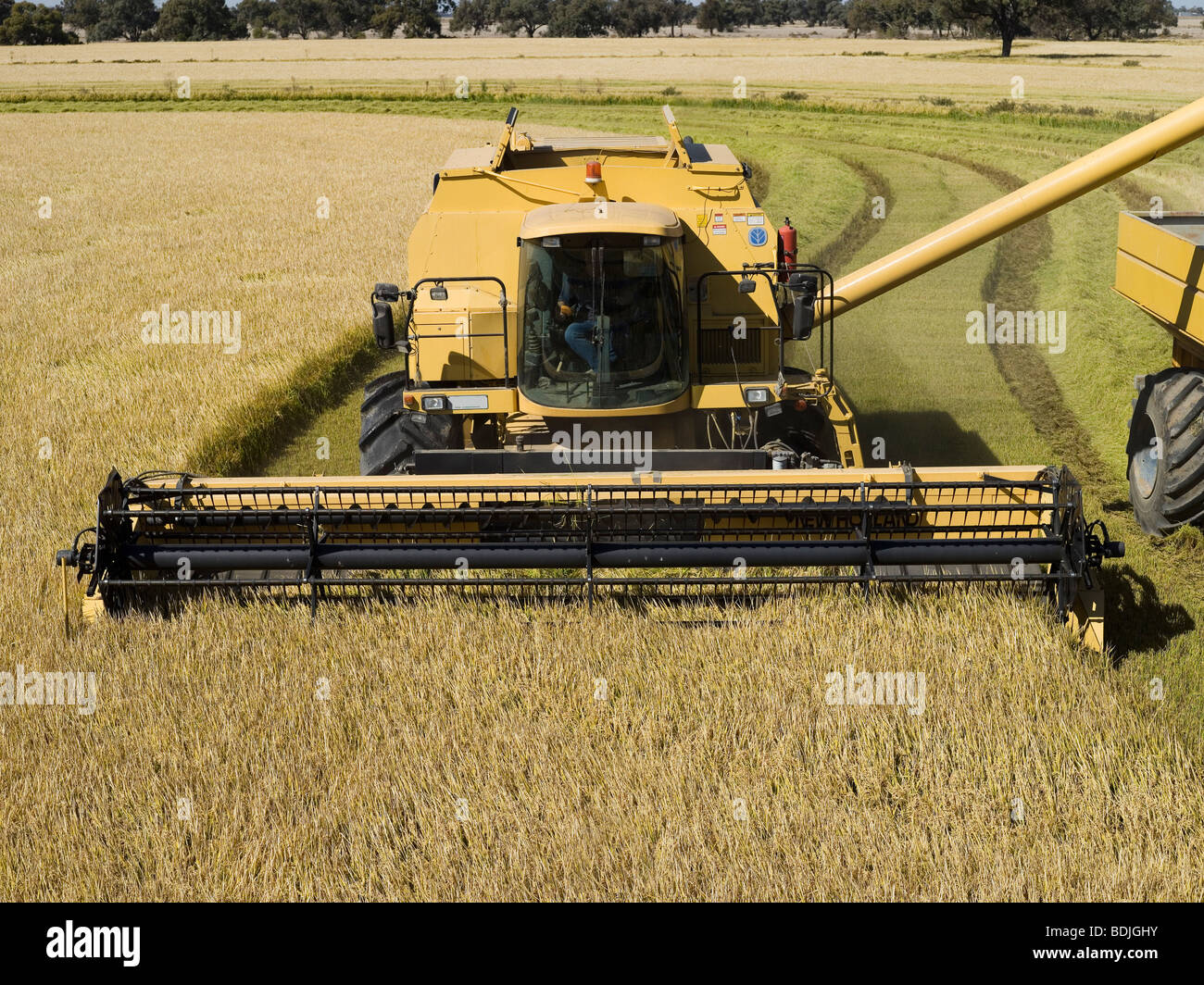 Rice Harvesting, Australia Stock Photo - Alamy