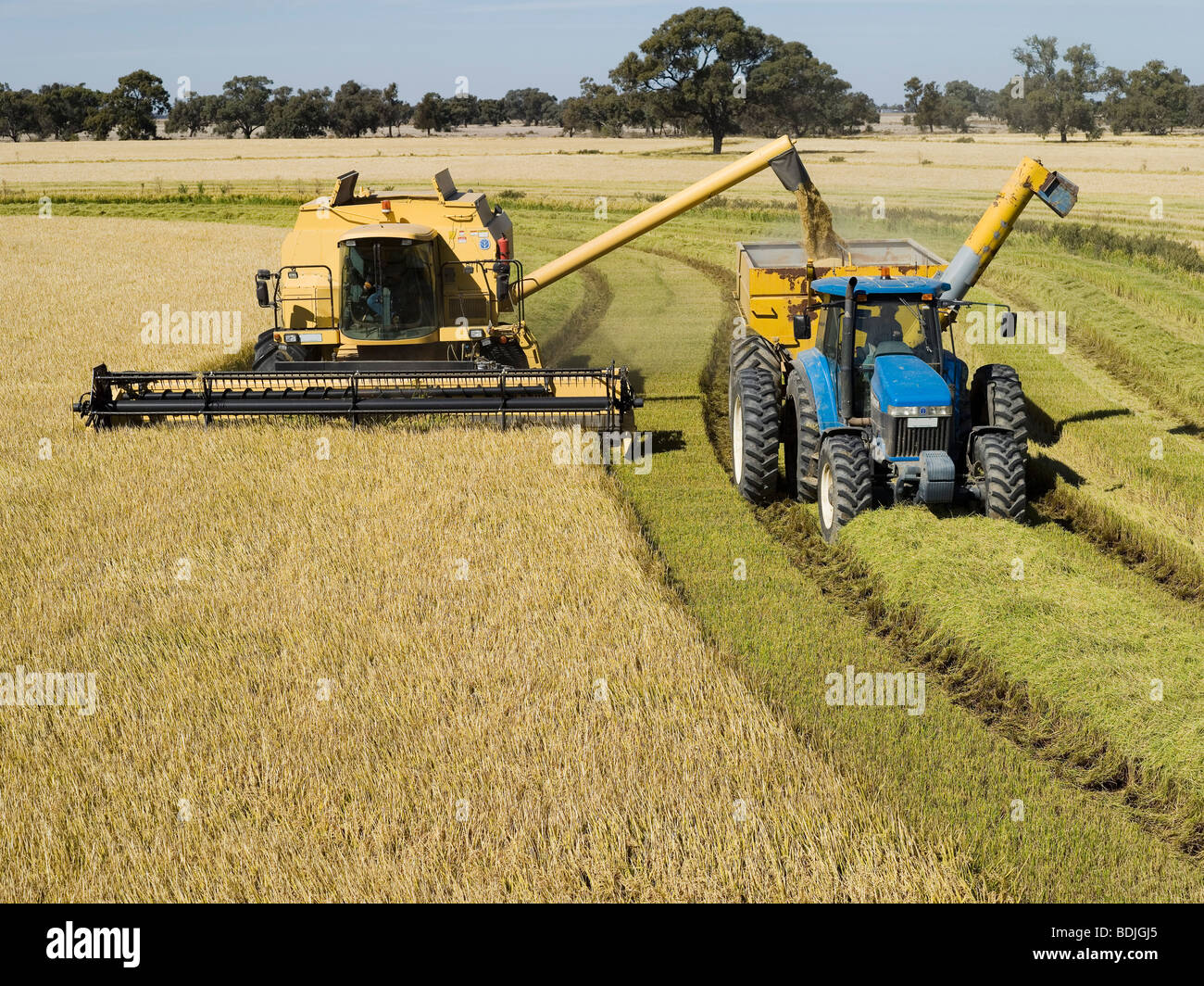 Rice Harvesting, Australia Stock Photo - Alamy