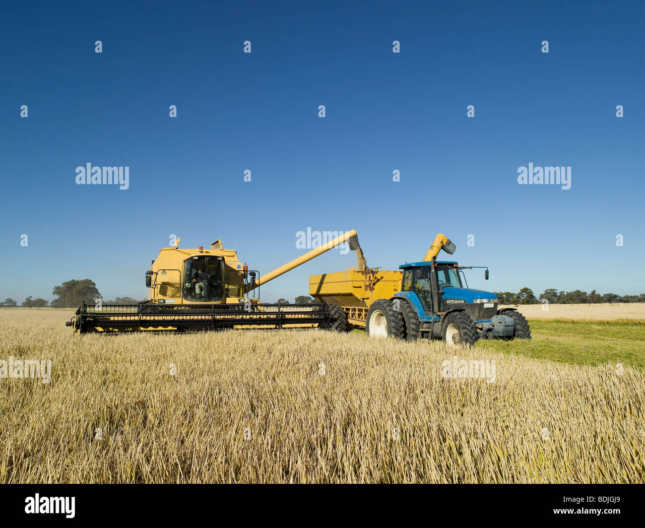 Rice Harvesting, Australia Stock Photo - Alamy