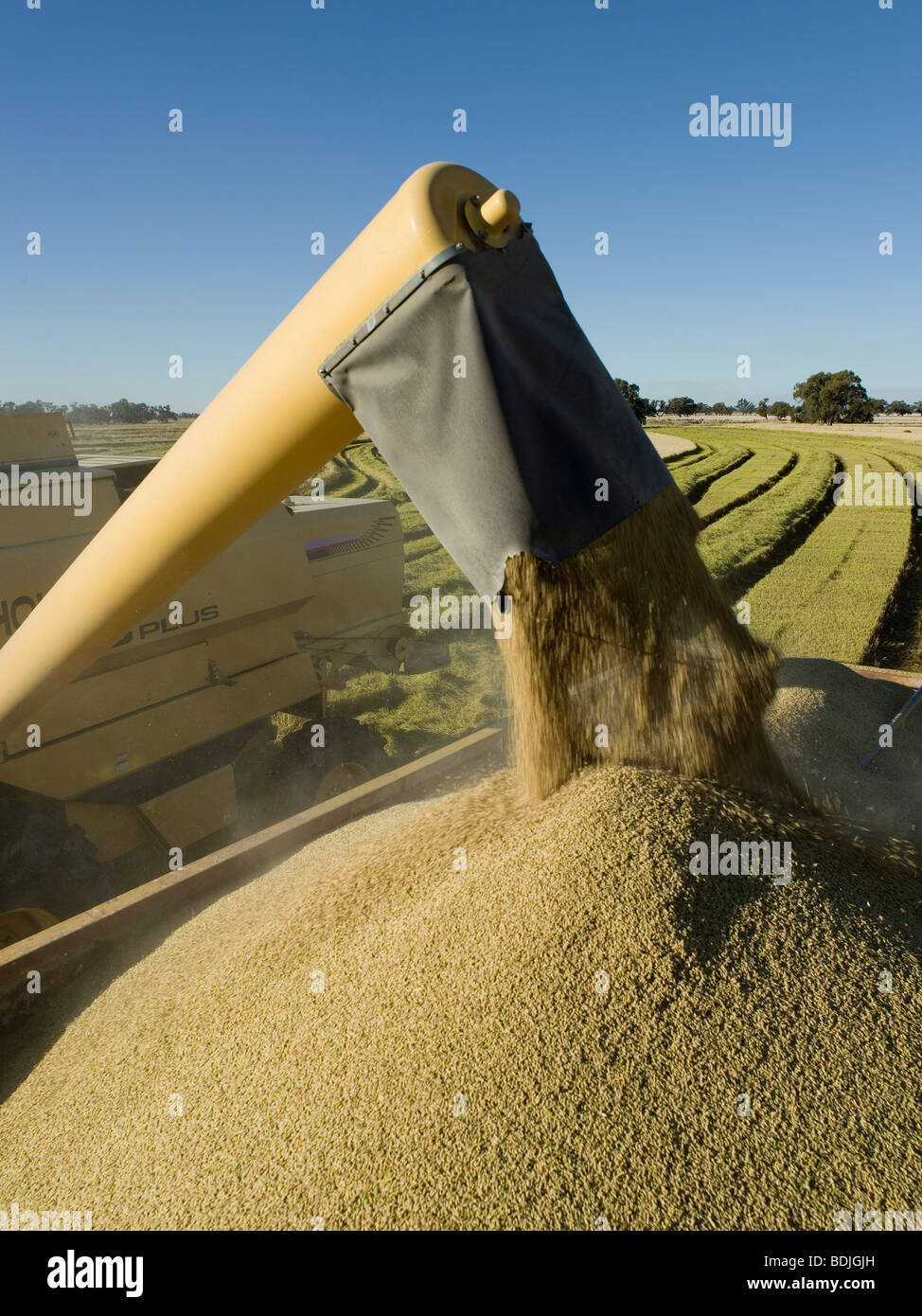 Unloading grain hi-res stock photography and images - Alamy