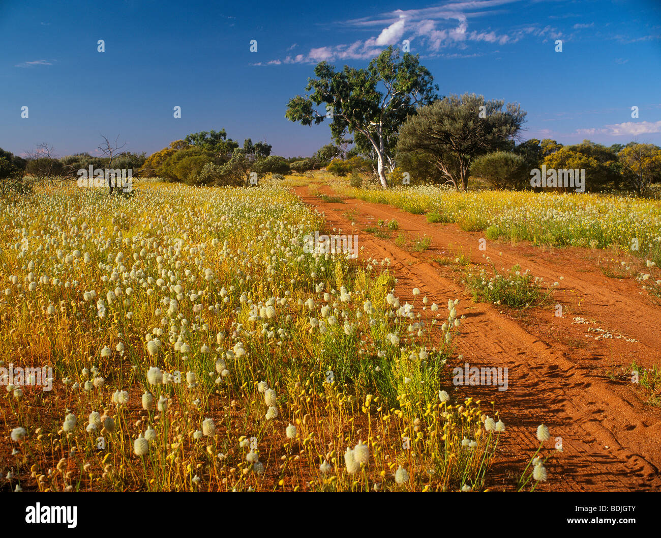 Unsealed Gravel Road Stock Photo - Alamy