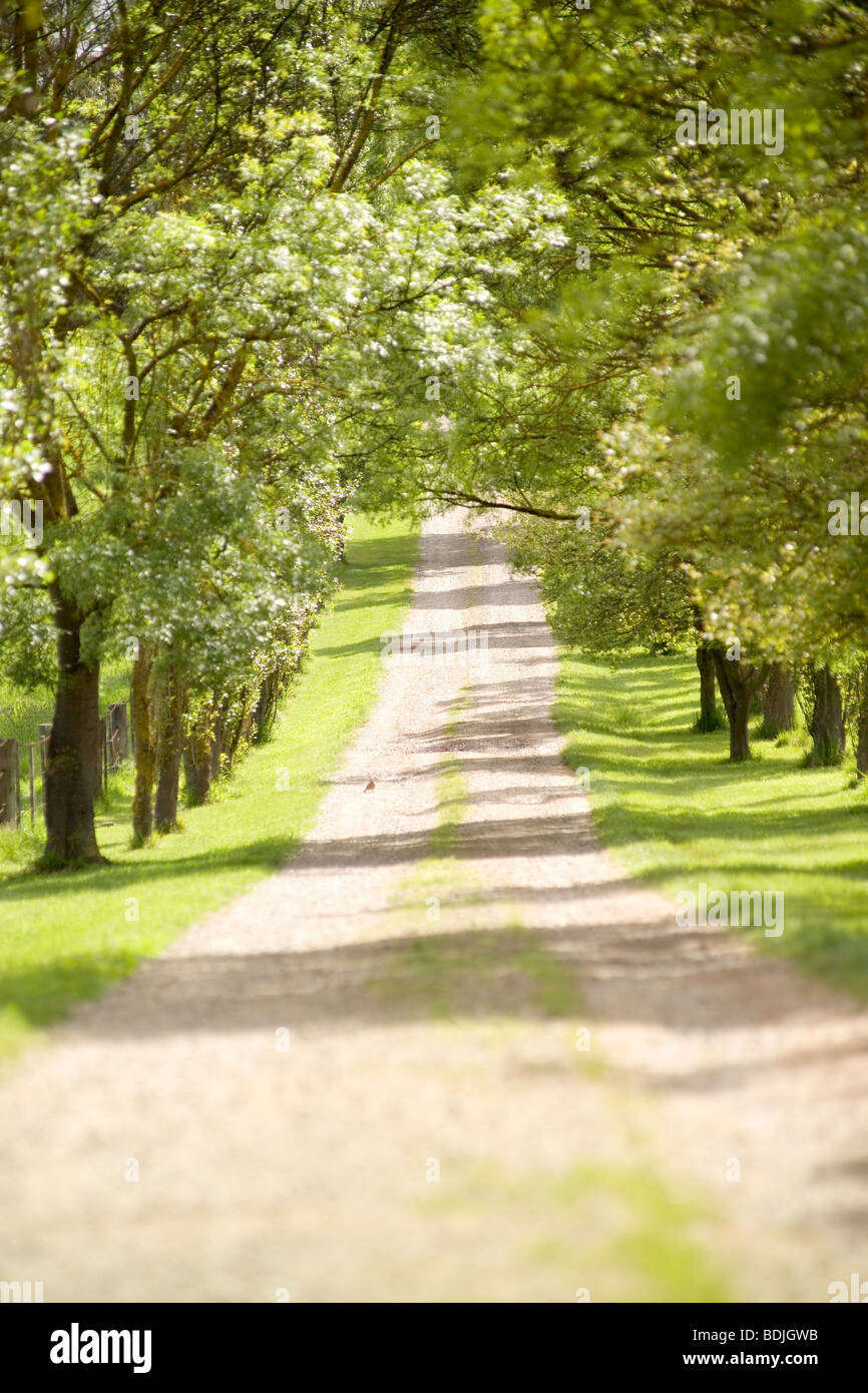 Tree transporting hi-res stock photography and images - Alamy