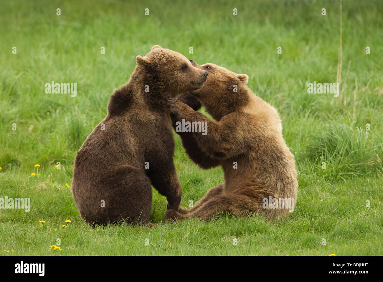 Radius images play hi-res stock photography and images - Alamy