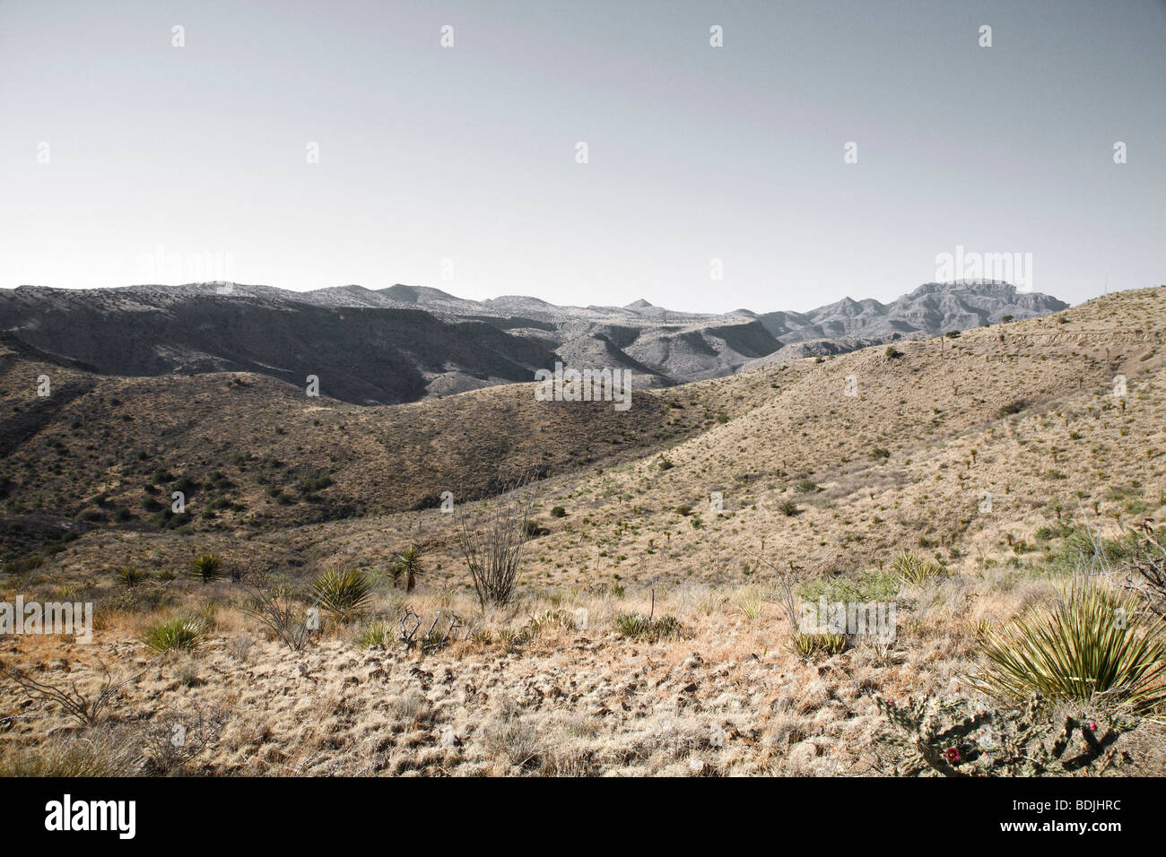 West texas desert scenery hi-res stock photography and images - Alamy