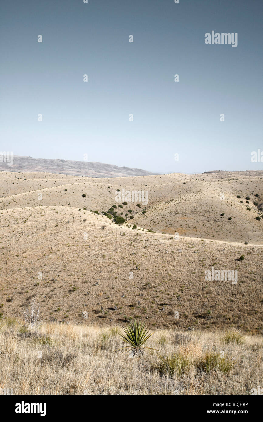 Burro mountain hi-res stock photography and images - Alamy