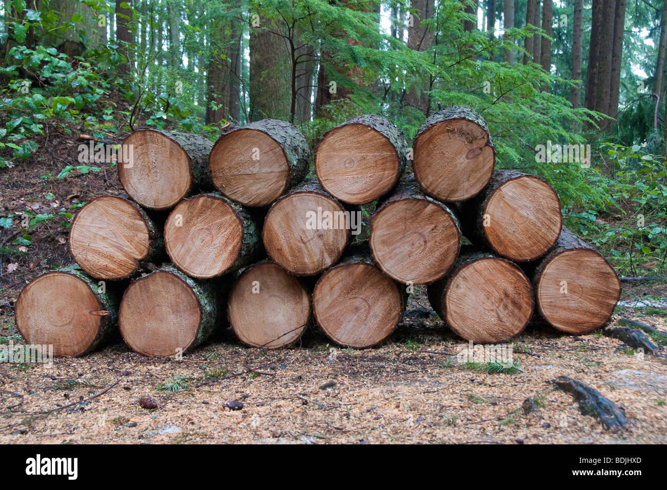 Stack of Firewood Stock Photo - Alamy