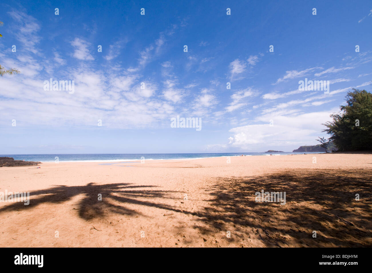 Tree shaded beach hi-res stock photography and images - Alamy