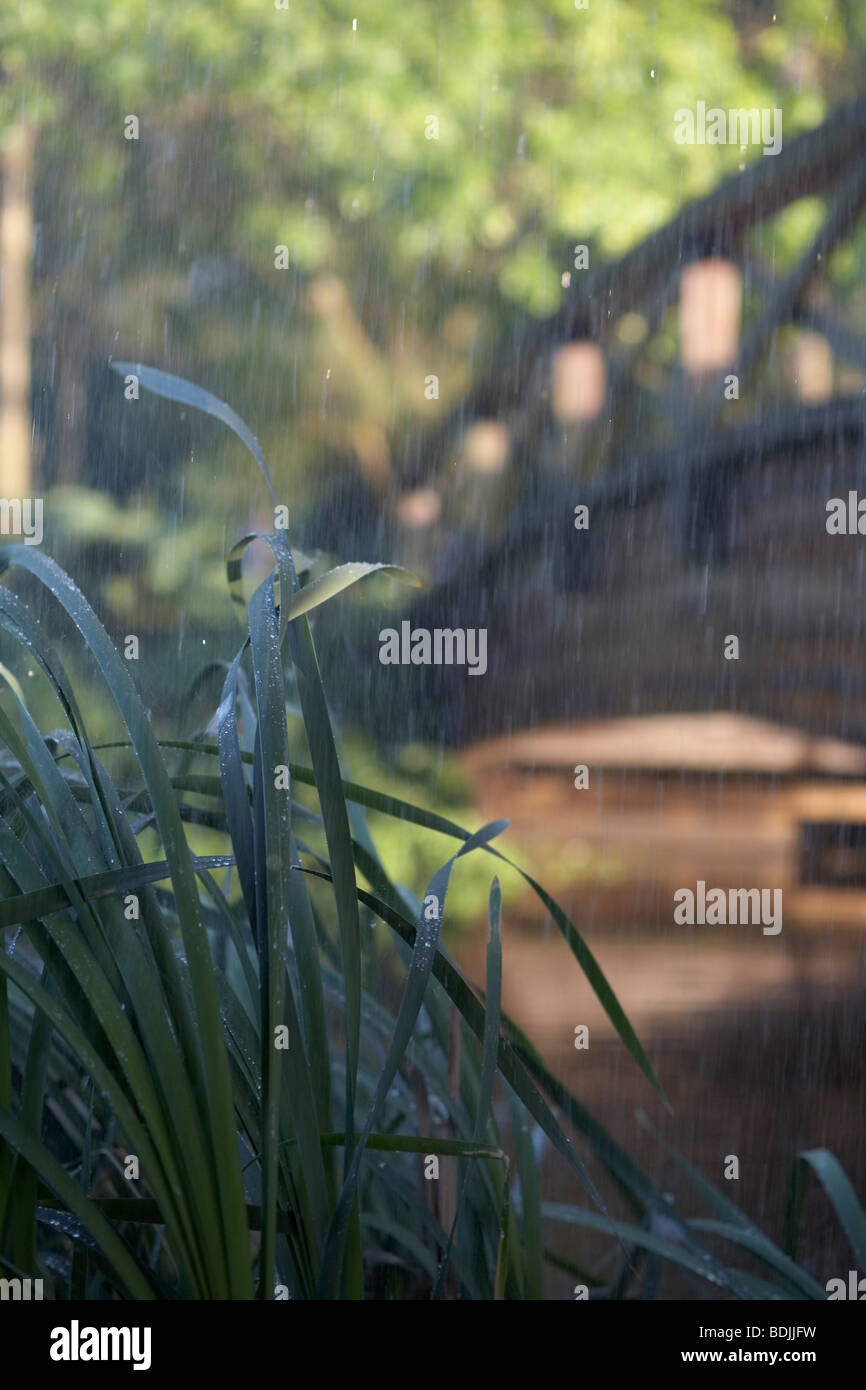 Showering In The Rain High Resolution Stock Photography and Images - Alamy