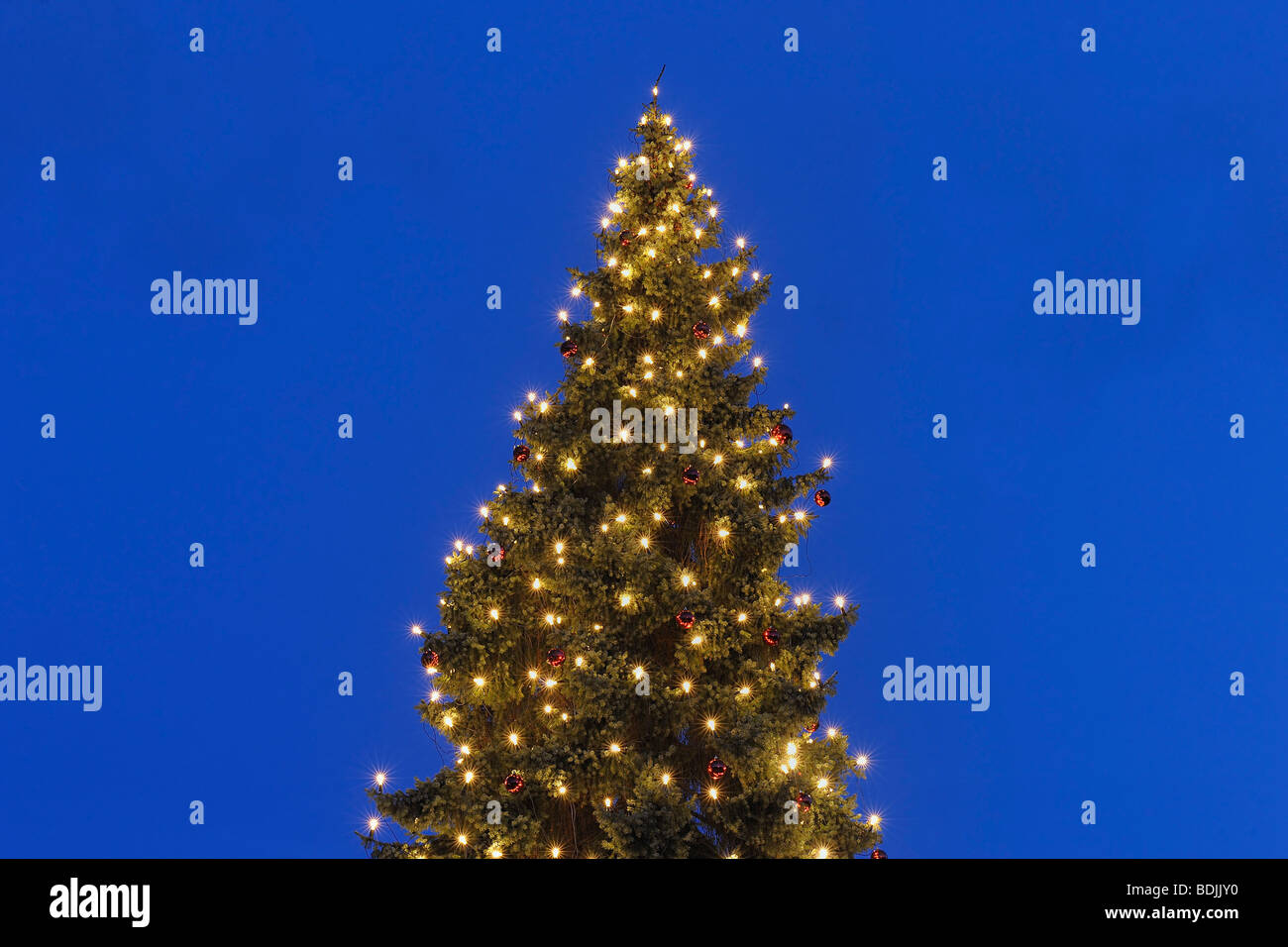 Alight christmas tree hi-res stock photography and images - Alamy