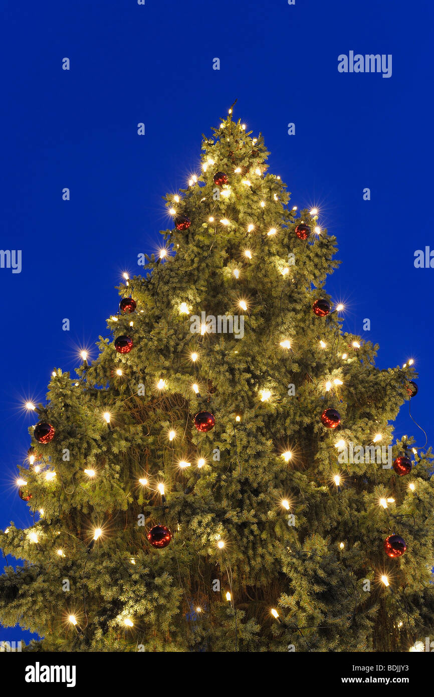 Lit from below tree hi-res stock photography and images - Alamy