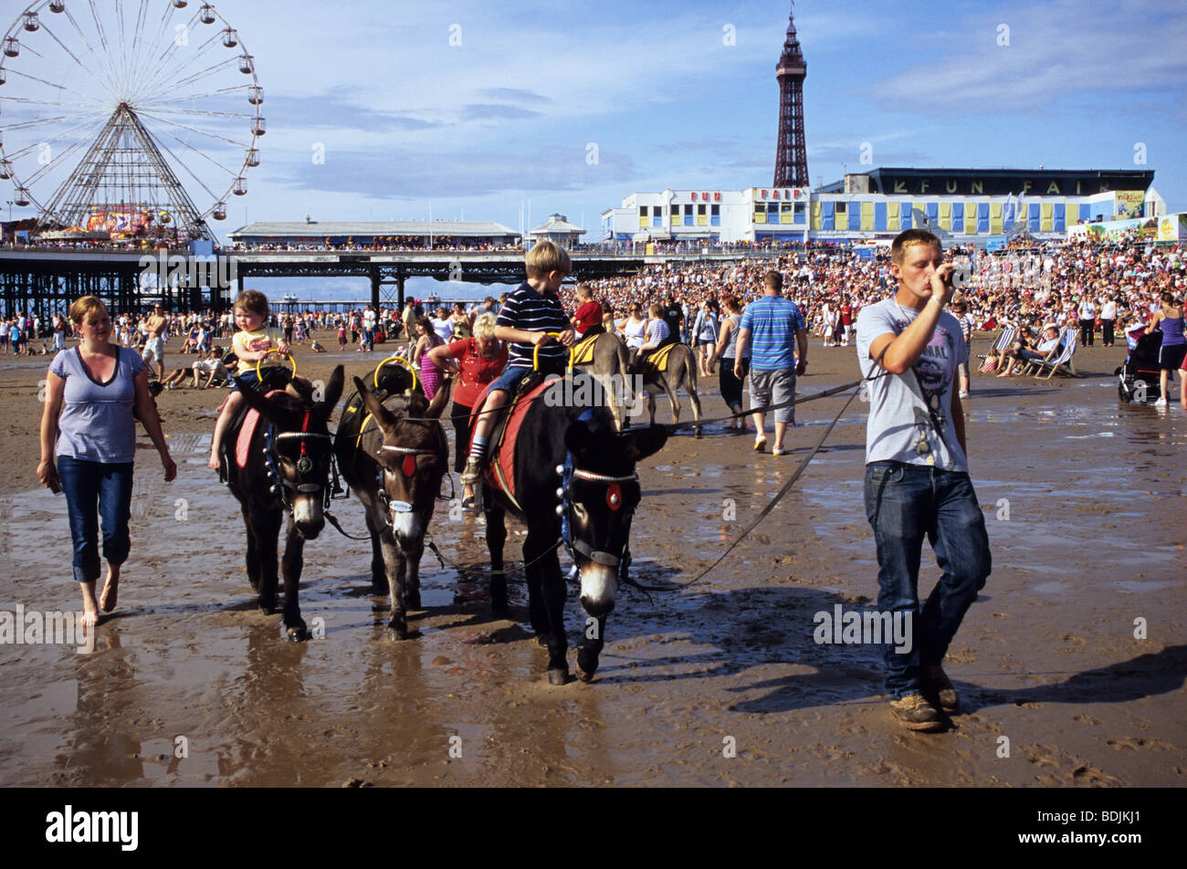 Donkeys beach ride blackpool hi-res stock photography and images - Alamy