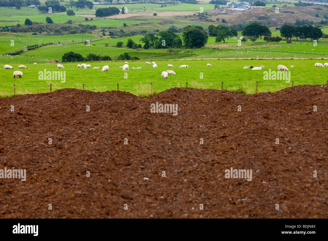 Farming peat bog uk hi-res stock photography and images - Alamy