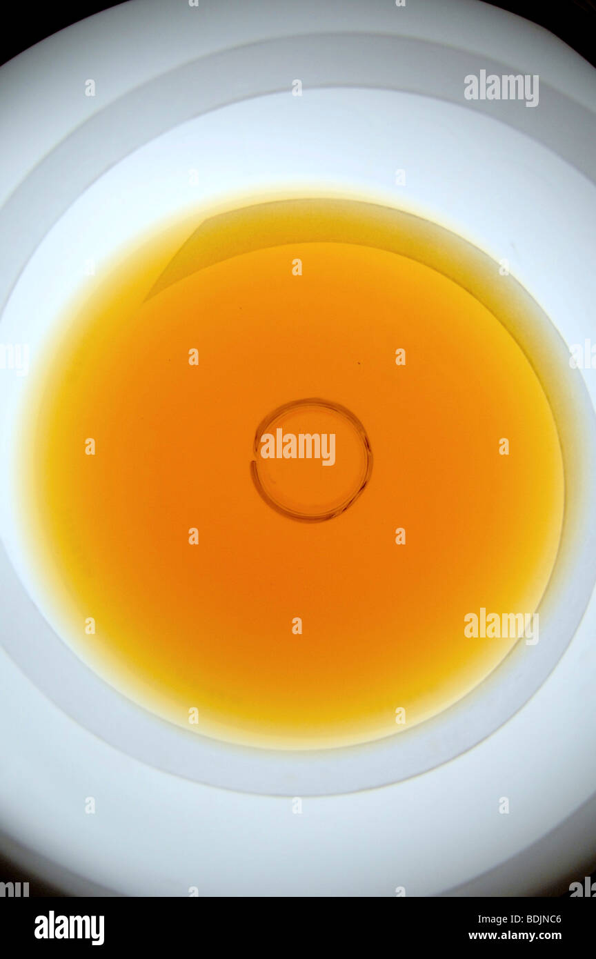 Glass of Martell Cognac Stock Photo - Alamy