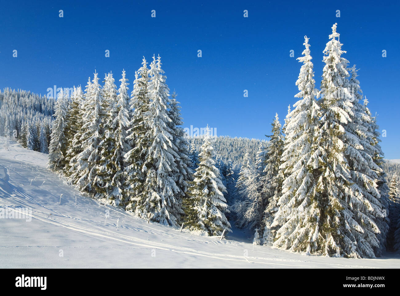 Mountain raine hi-res stock photography and images - Alamy