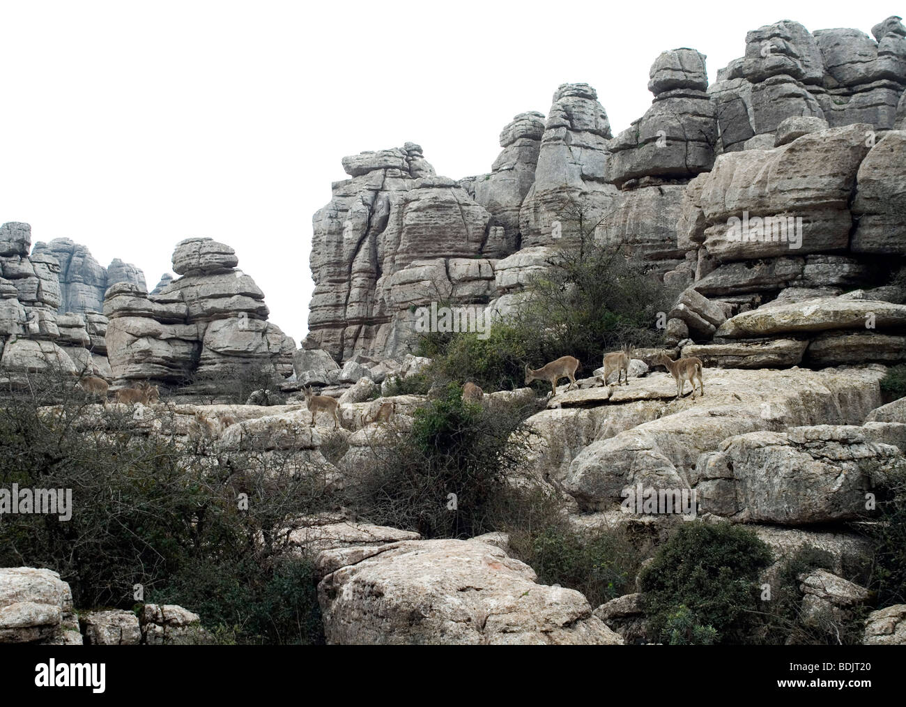El torcal hi-res stock photography and images - Alamy