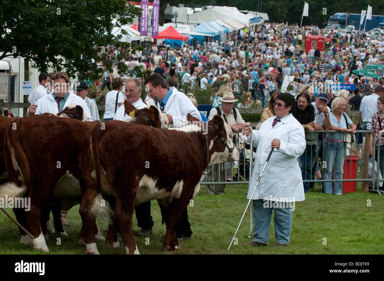 Show farm animals hi-res stock photography and images - Alamy