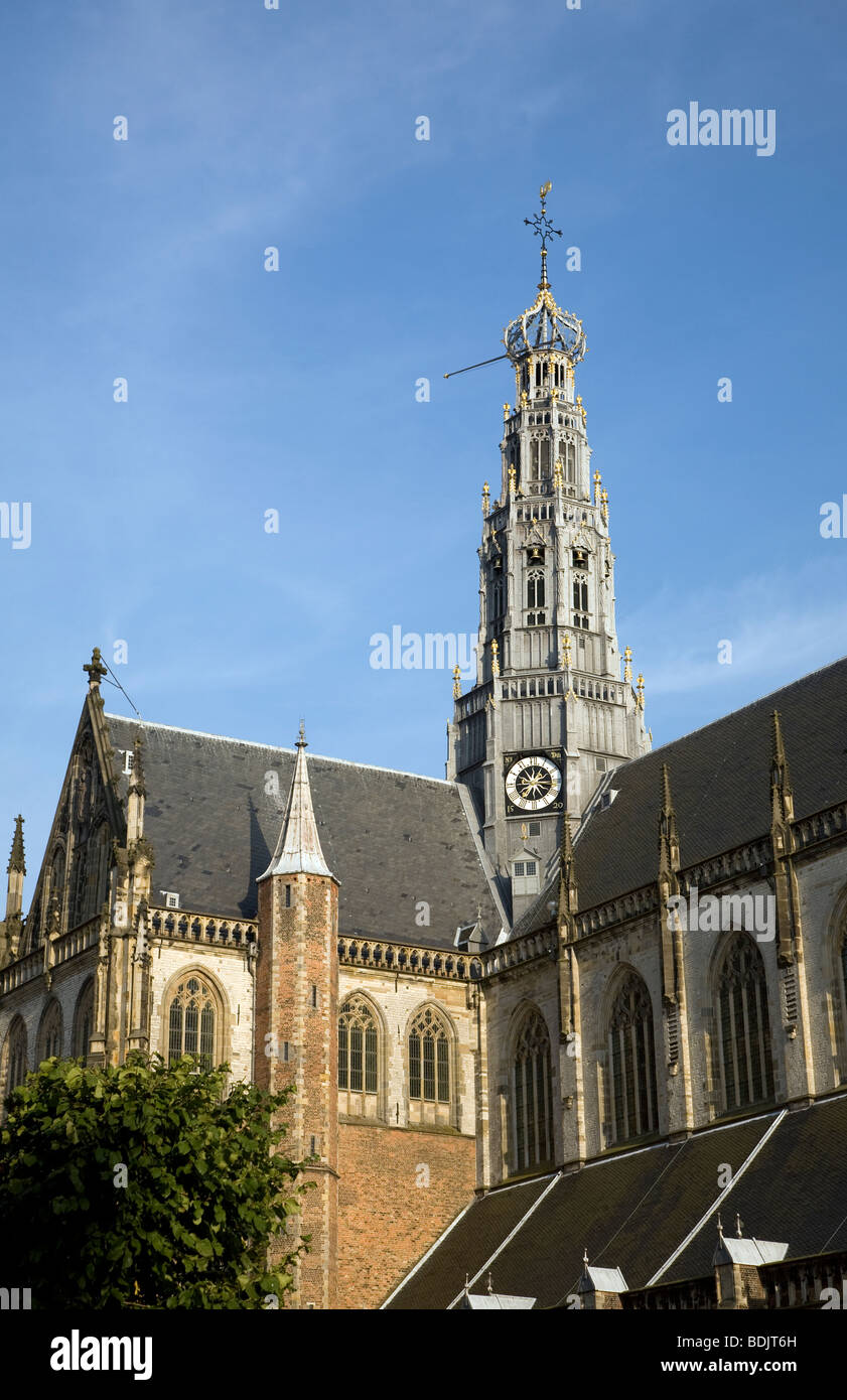 St Bavo cathedral Haarlem Holland Stock Photo - Alamy