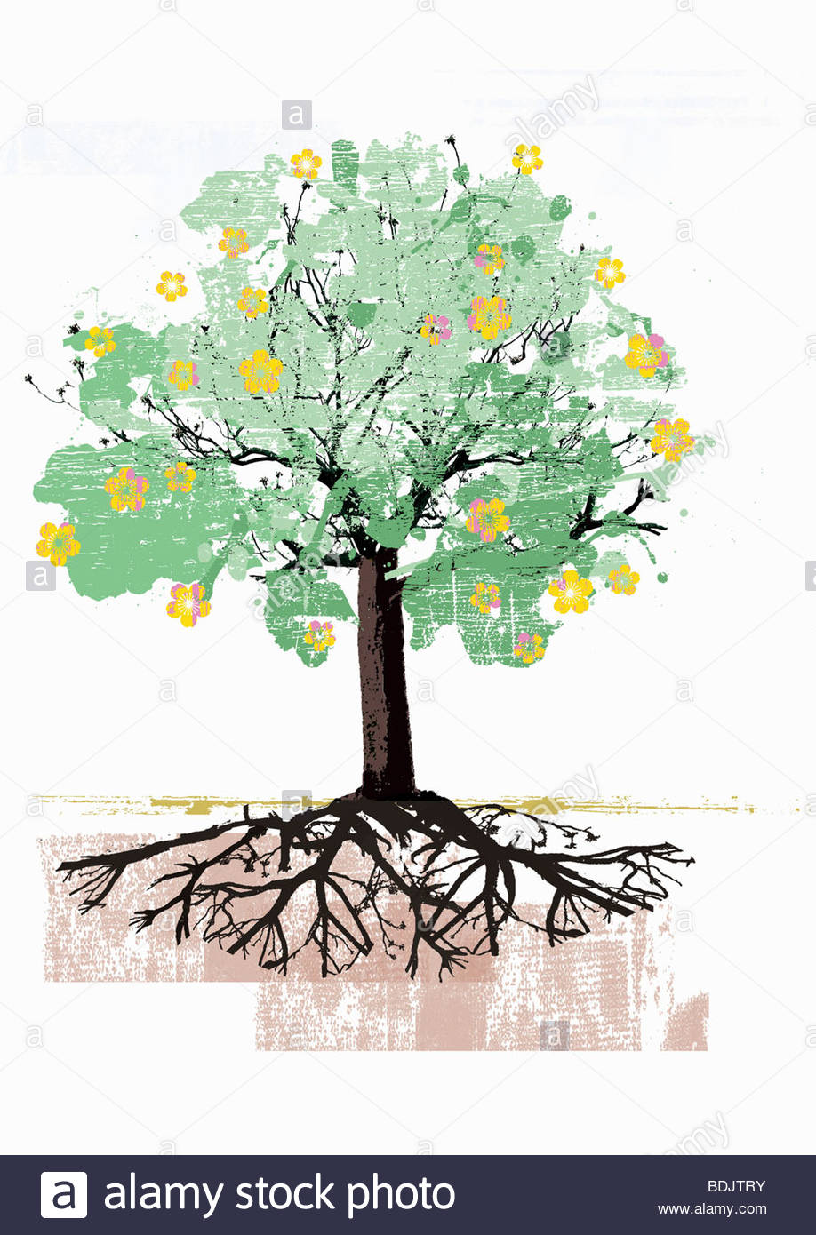 Tree Root Illustration Stock Photos & Tree Root Illustration Stock ...