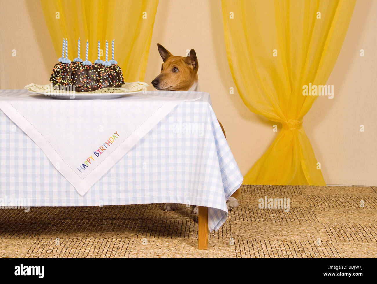 Bad birthday cake hi-res stock photography and images - Alamy