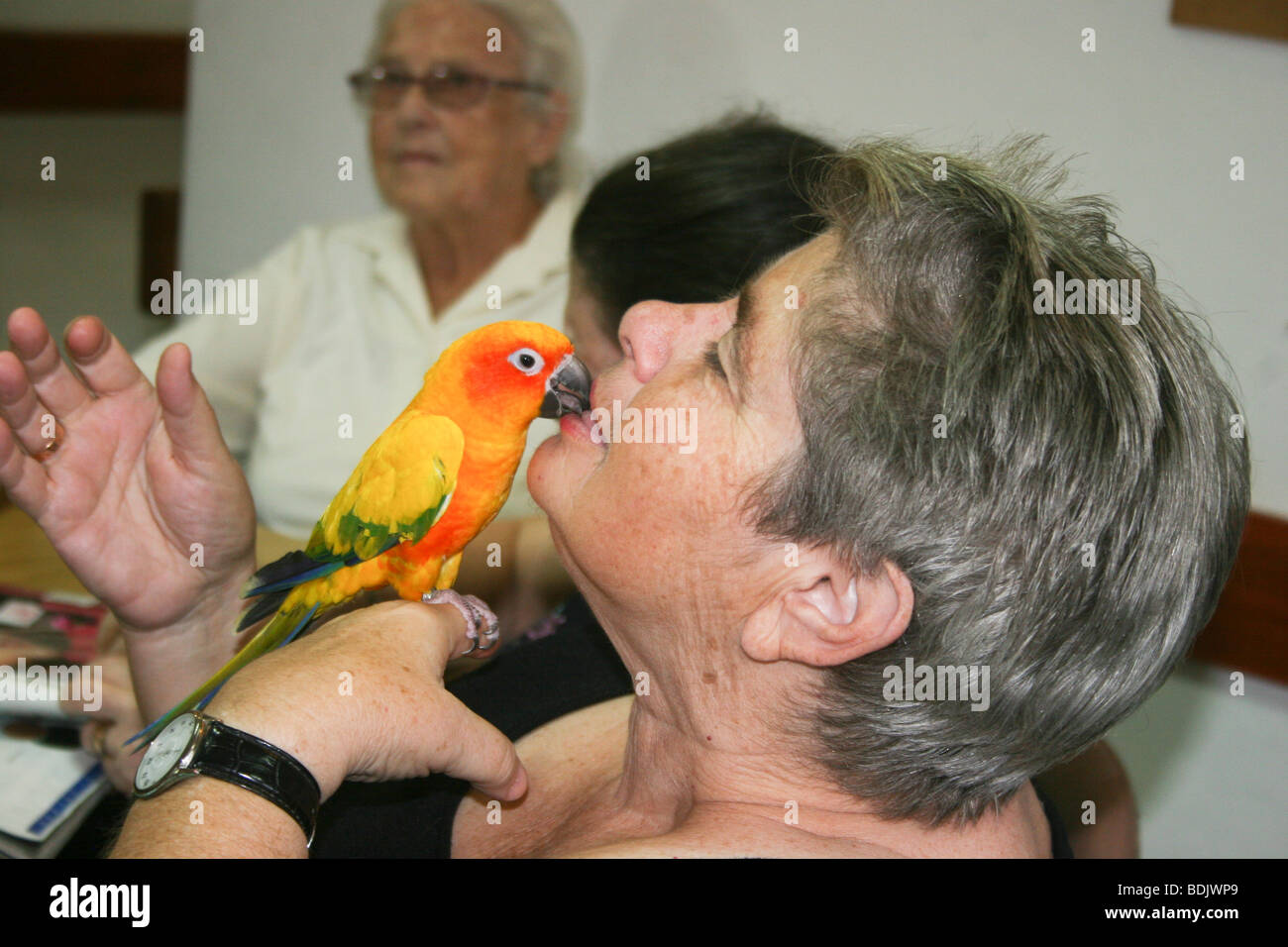 Parrot day hi-res stock photography and images - Alamy