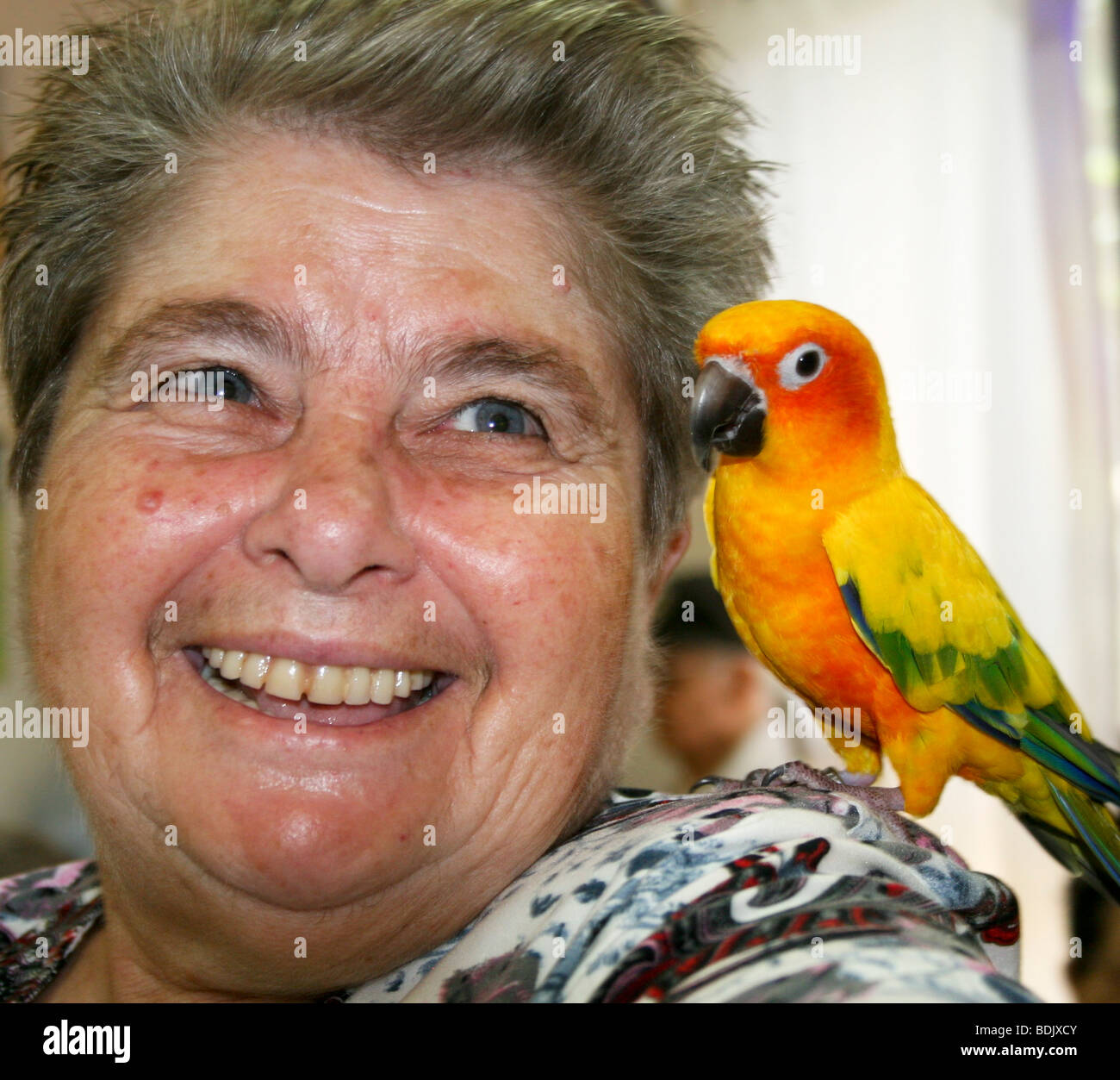 Parrot smiling hi-res stock photography and images - Alamy