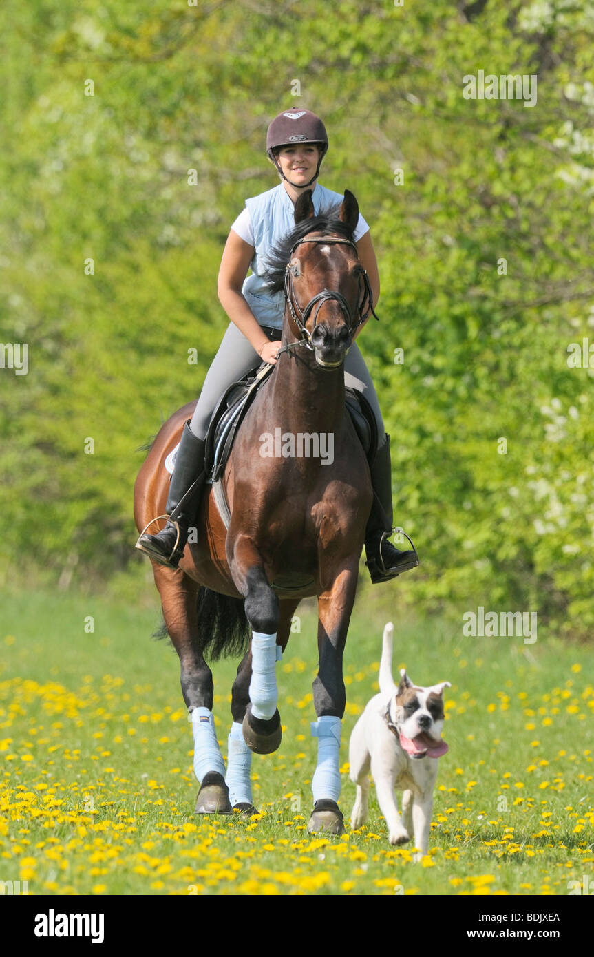Kids Riding Dogs High Resolution Stock Photography and Images - Alamy