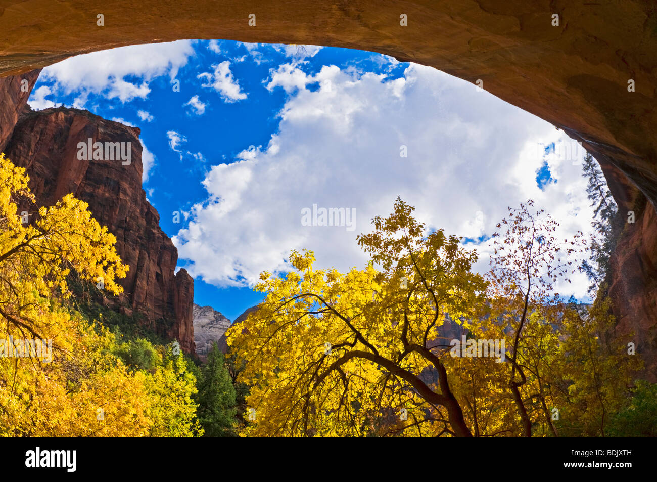 Fall color and cascade at the lower Emerald Pools, Zion National Park, Utah Stock Photo - Alamy